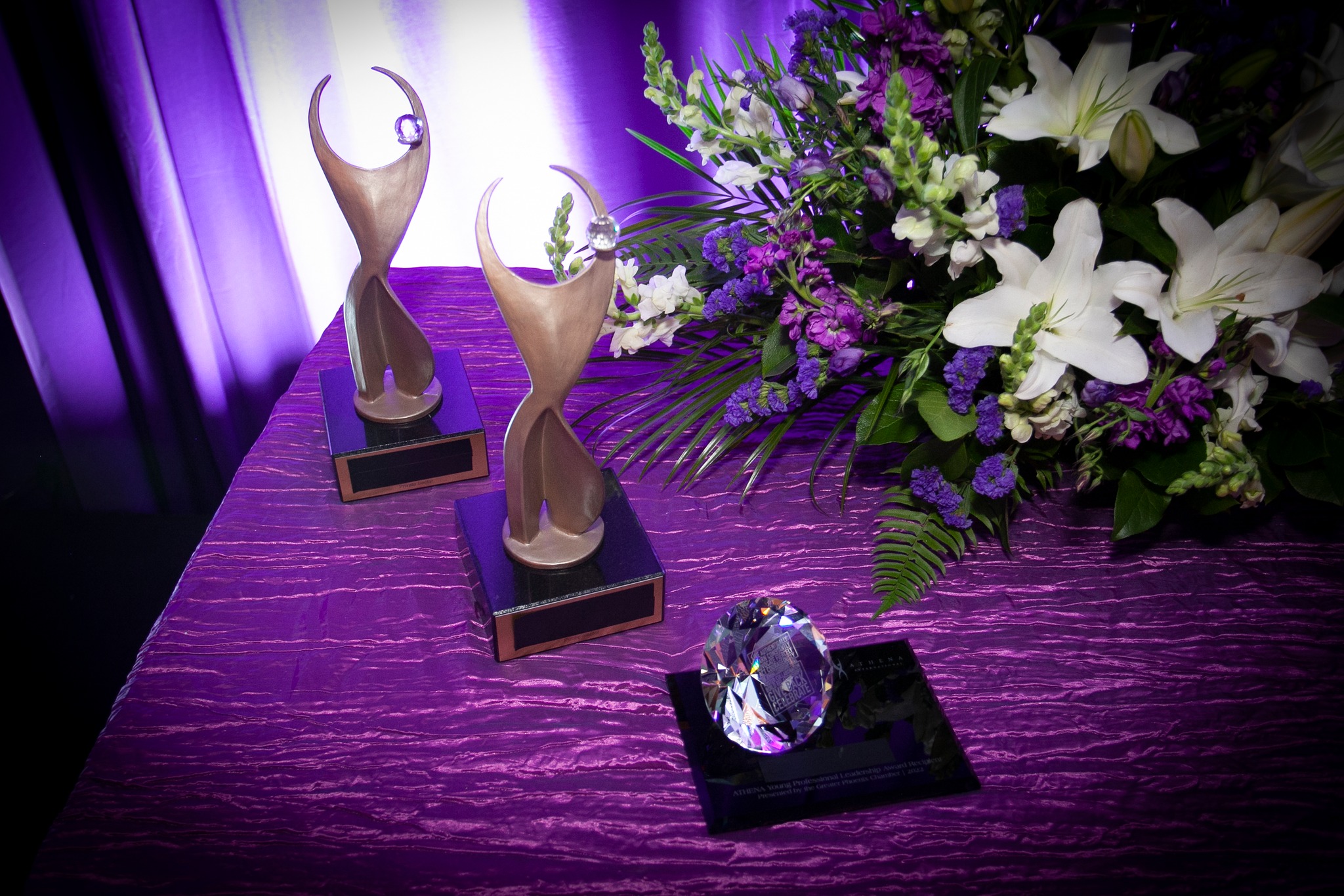 Chamber announces Athena finalists | North Central News