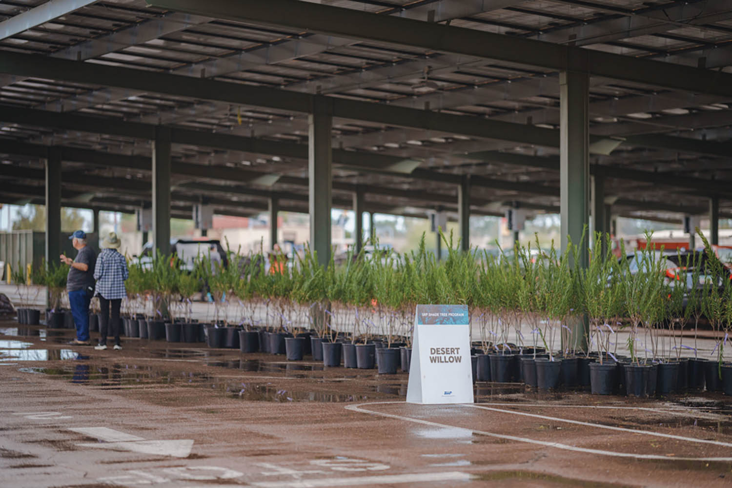 Shade tree registration opens | North Central News