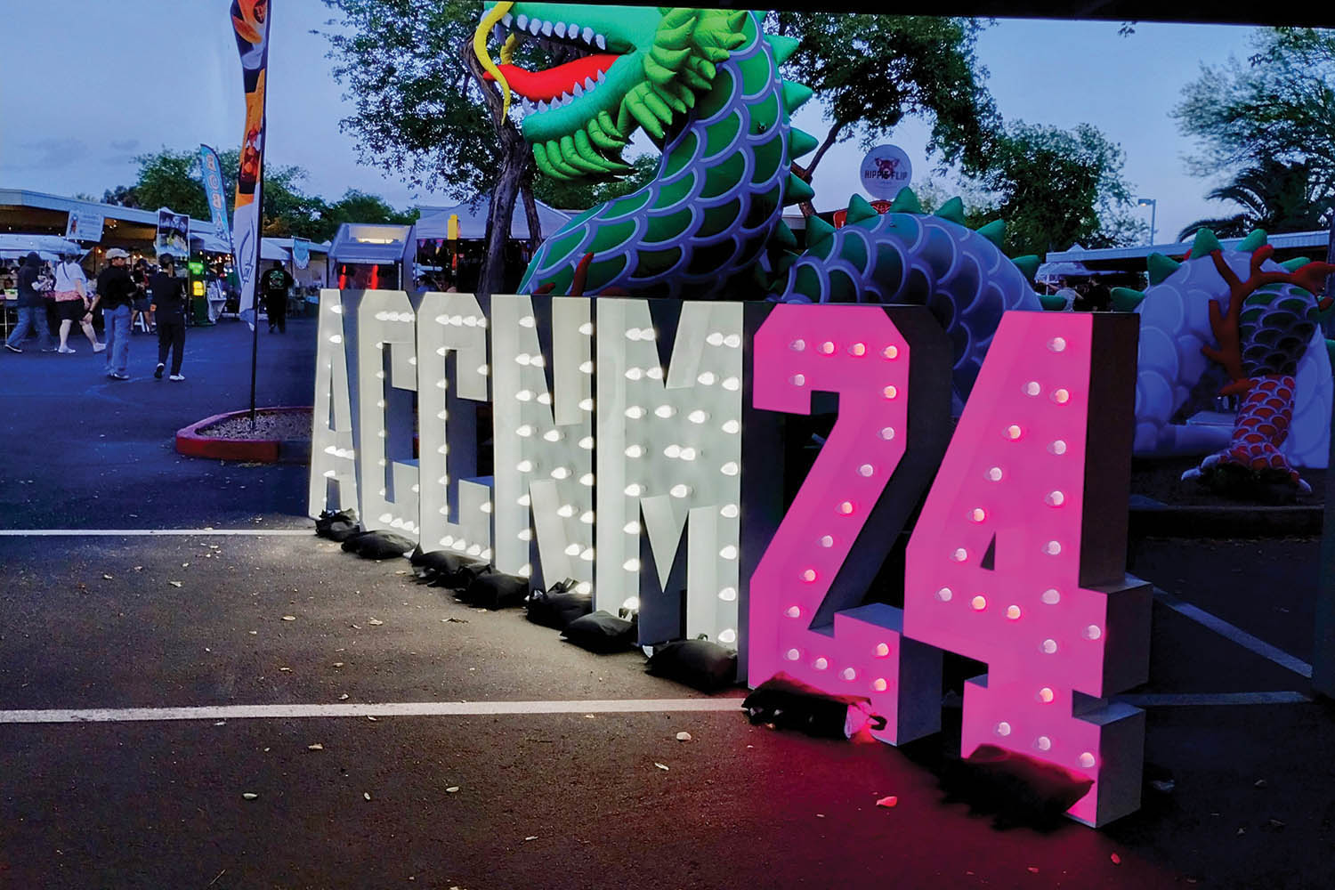 Night Market celebrates diversity | North Central News