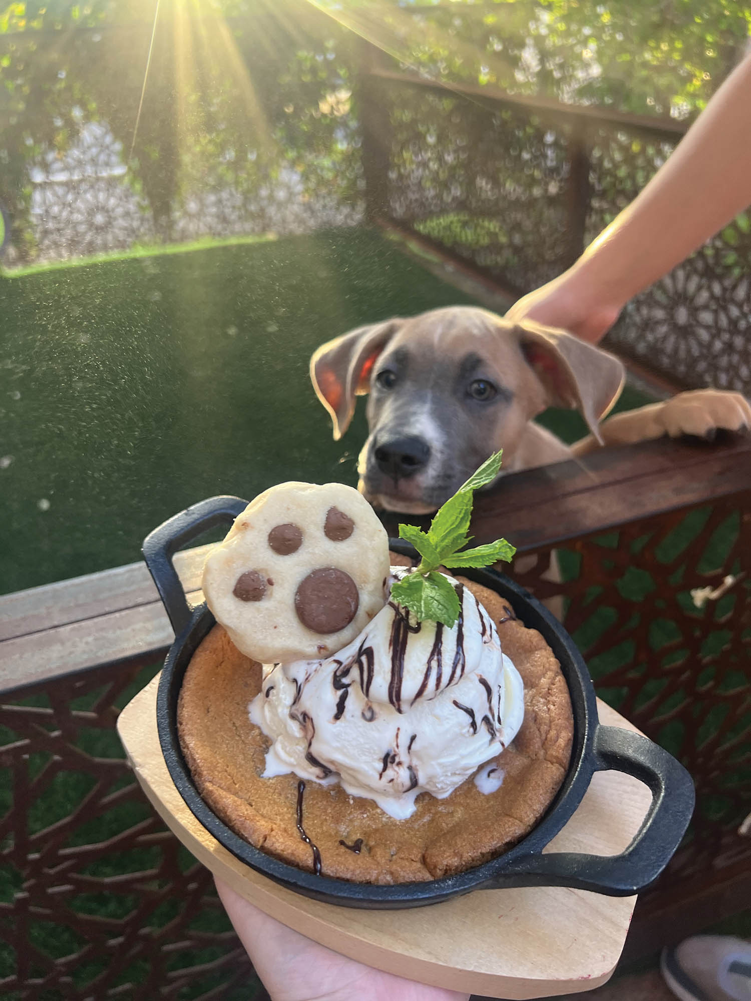 Pizza spot launches new menu items | North Central News