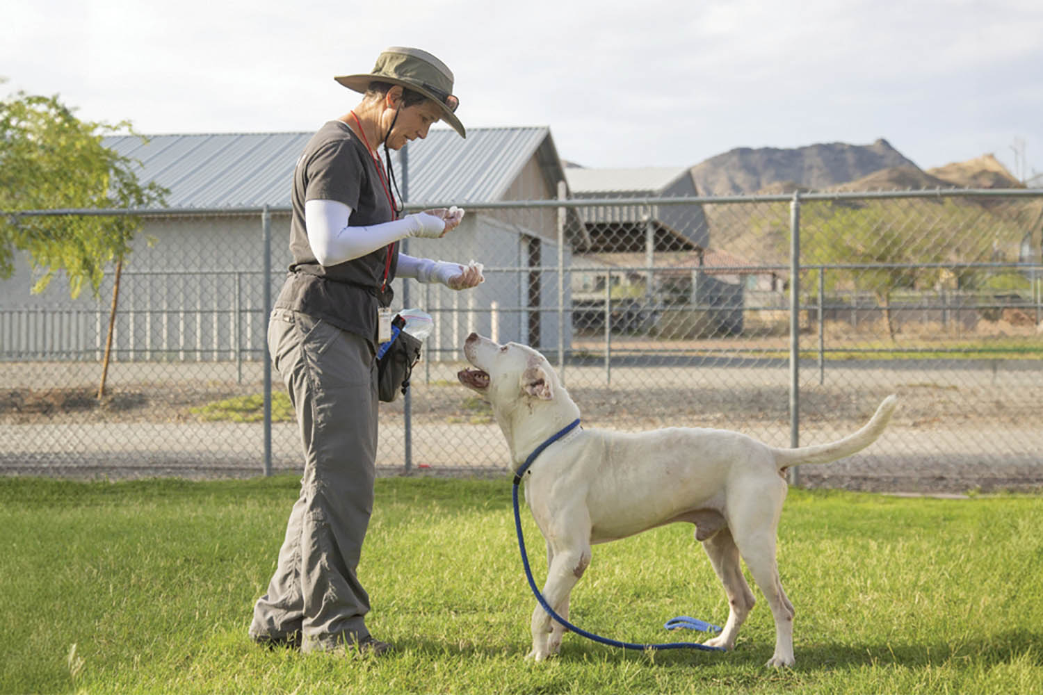 Training classes enhance skills | North Central News