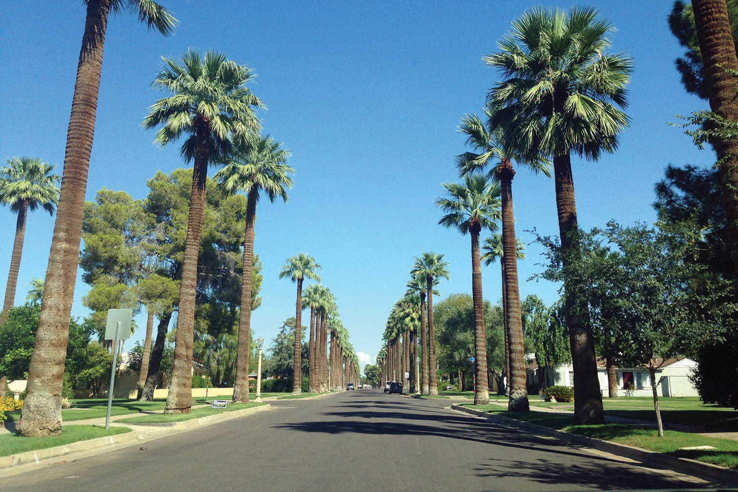 Discover the charm of Encanto-Palmcroft | North Central News